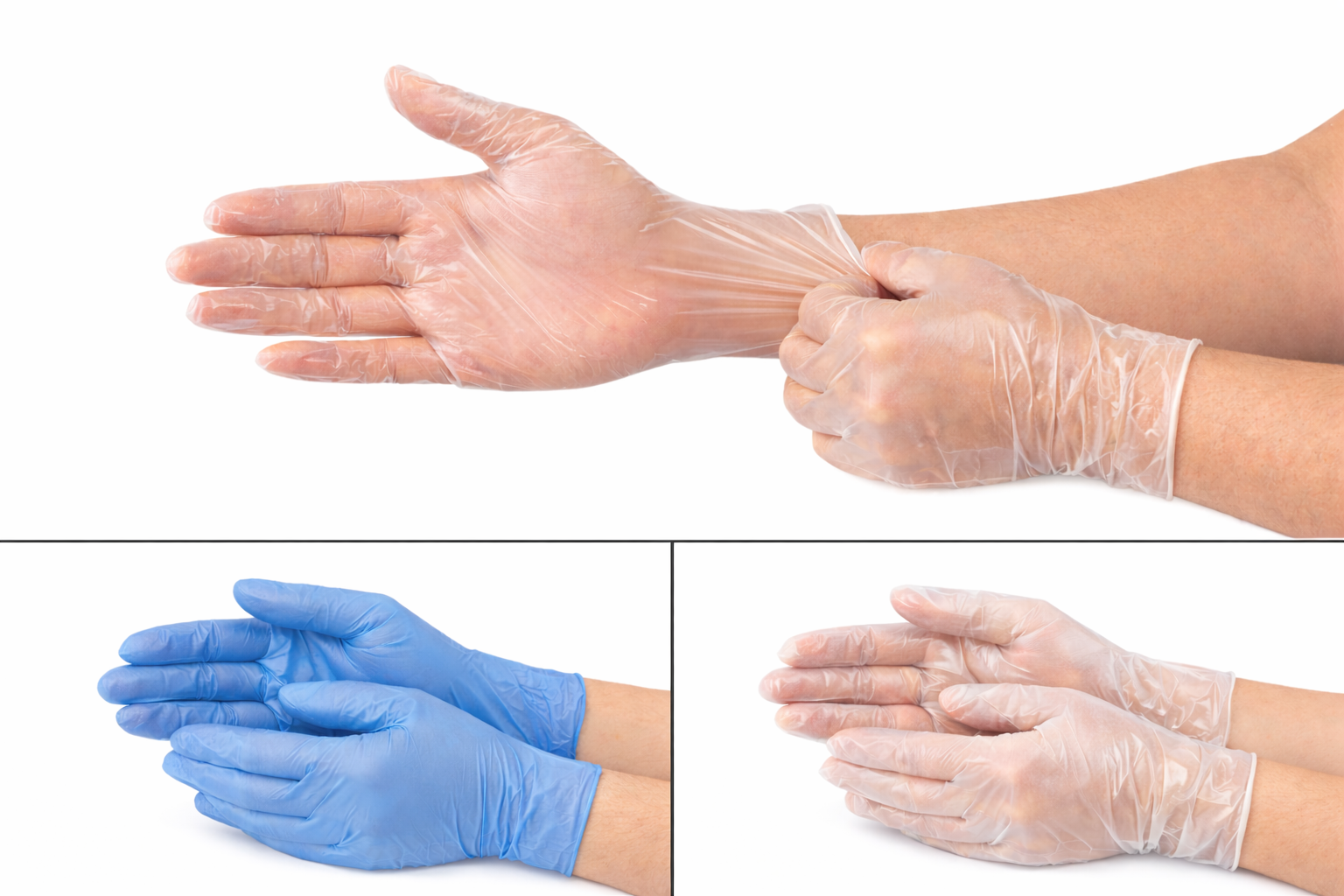 Vinyl Food Service Gloves - Grwan Group